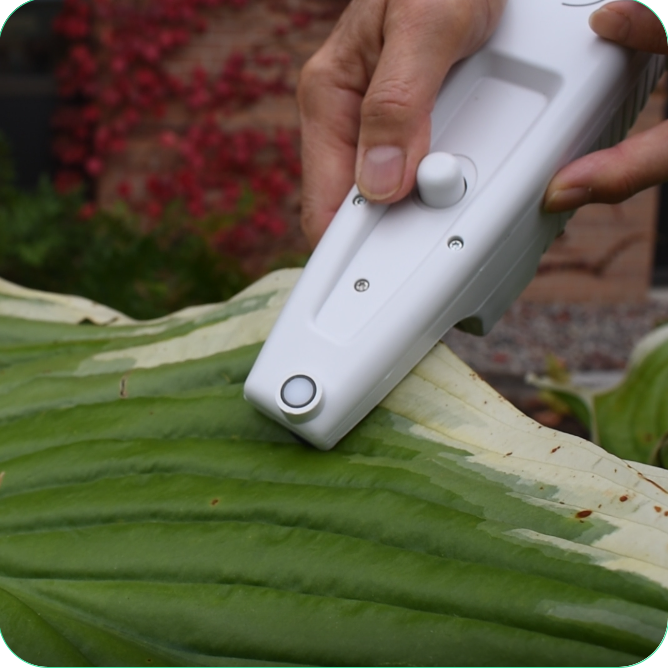 Additional PRL Research